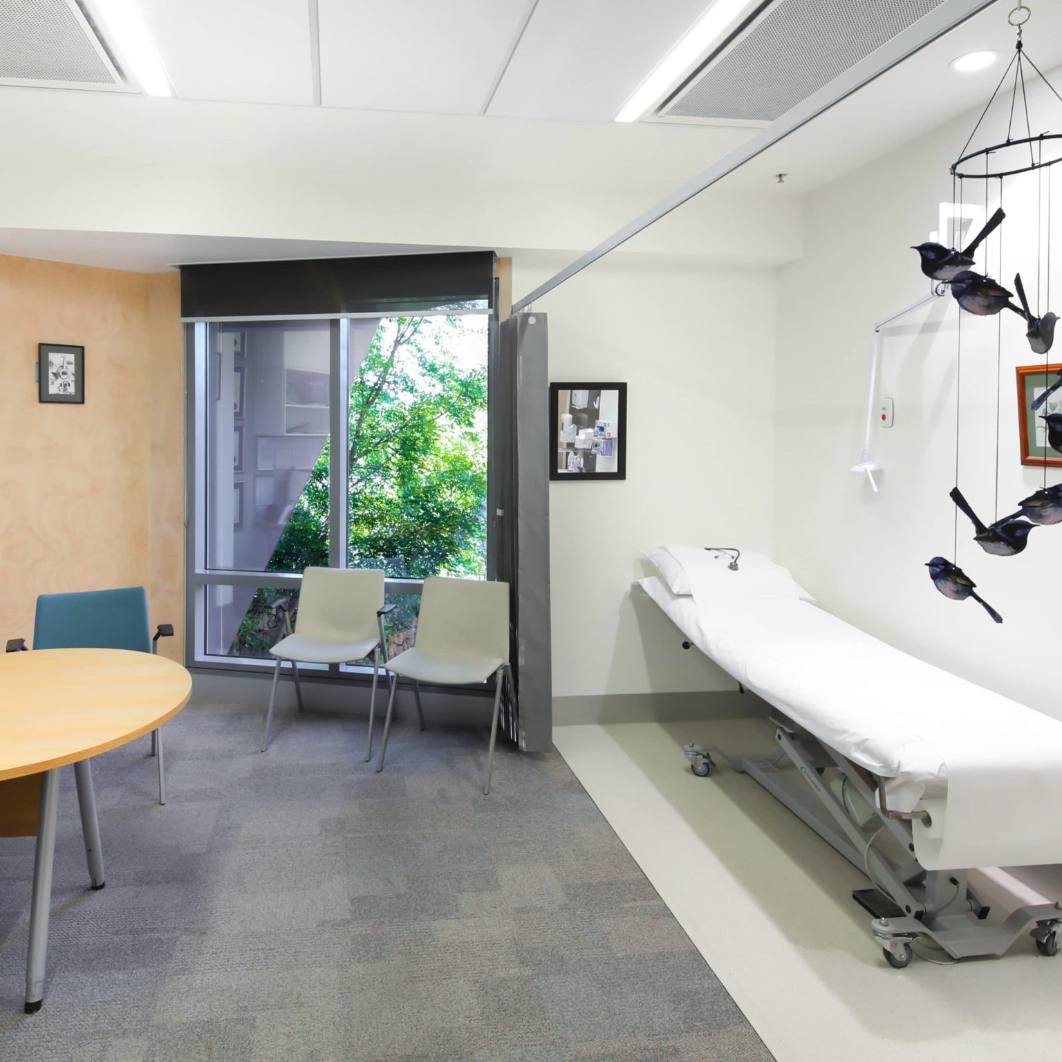 Border Medical Oncology & Haematology. Cancer Care Specialists